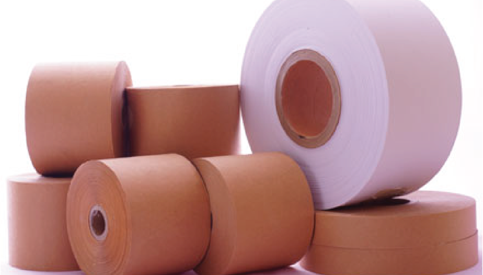 How Paper Packaging is Pioneering Sustainability in Today's World ...